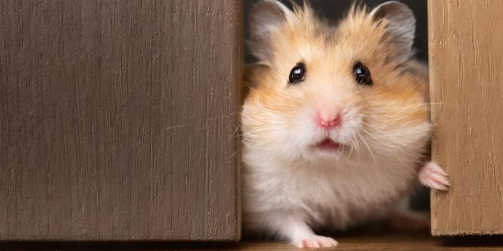 We're on a 5-Star Roll – Thanks to Our Clients!